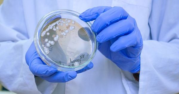 RCPath publishes response to government's 5-year action plan for ...