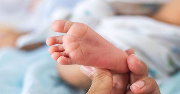 Paediatric and Perinatal Pathology SSG