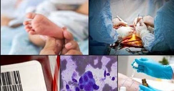 Celebrating the people and specialties of pathology