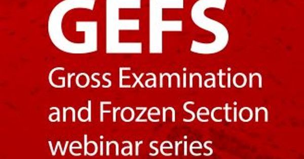 Gross Examination and Frozen Section
