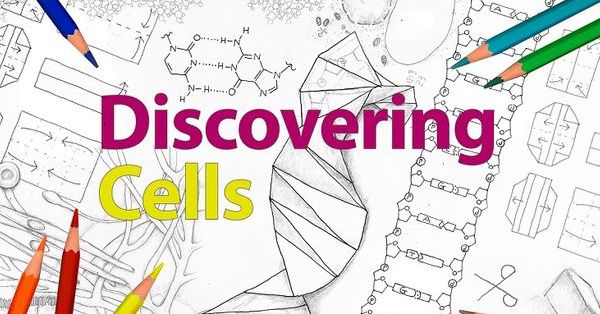 Discovering Cells
