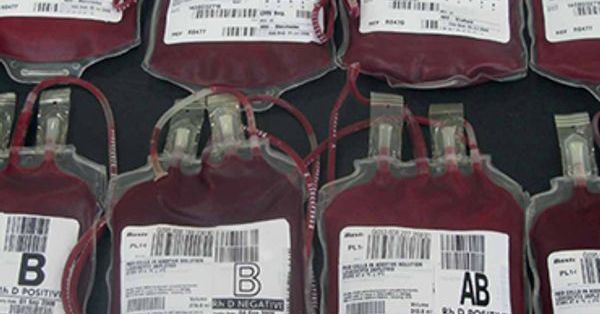 Human Red Blood Cells Survival