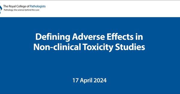 Defining Adverse Effects in Non-clinical Toxicity Studies